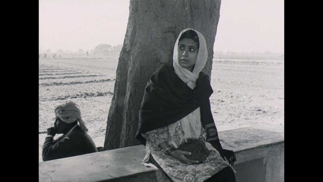 ED Distribution Distributeur de films indépendants USKI ROTI